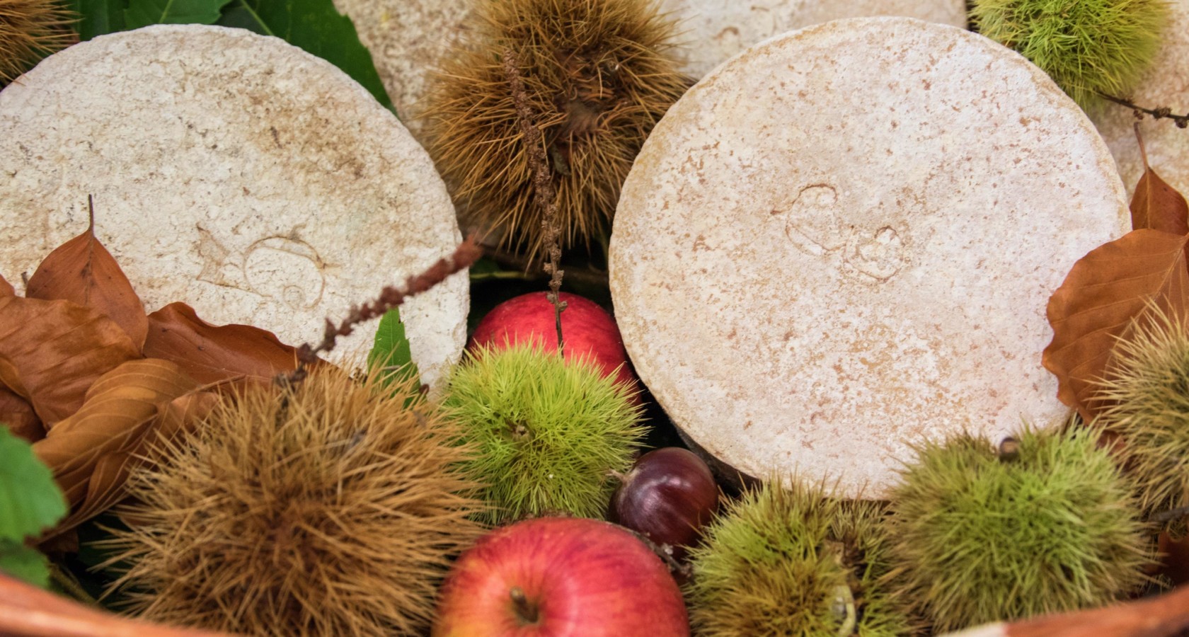 I migliori prodotti enogastronomici autunnali della Val d'Ossola ...